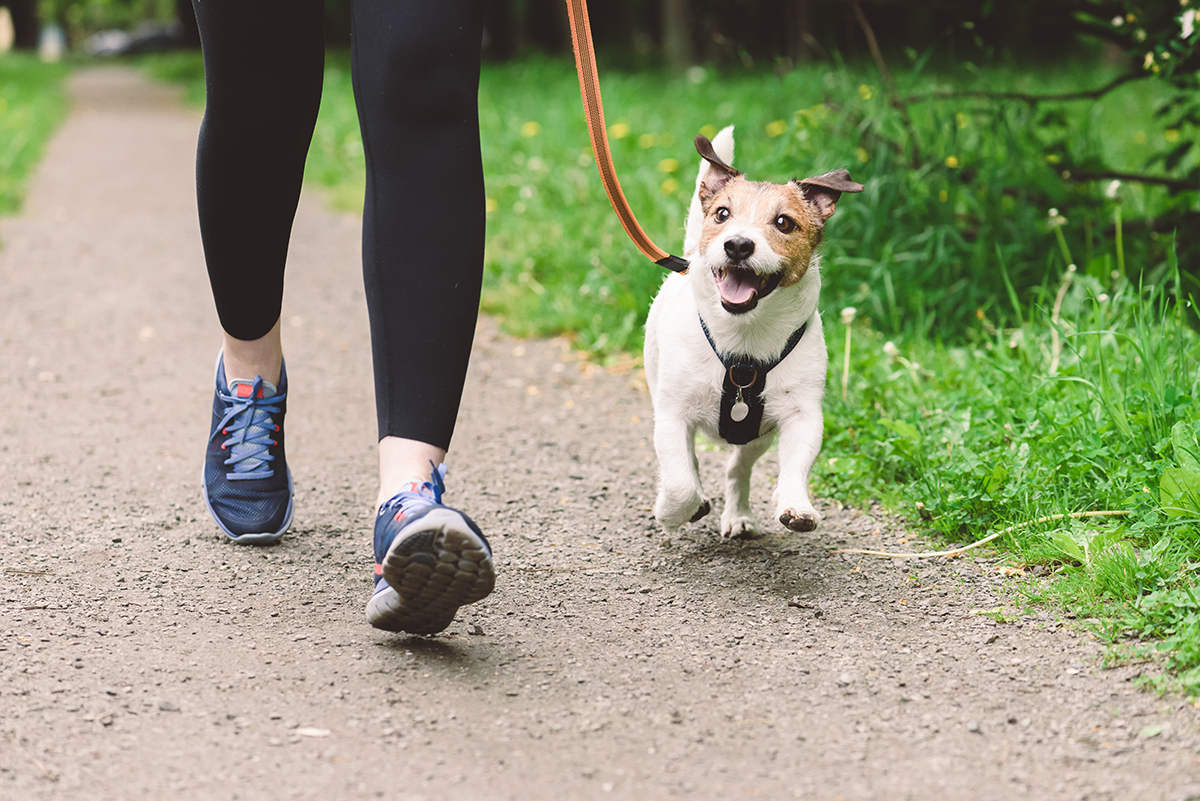 Take a Stroll Through the Heart Health Benefits of Walking - University ...